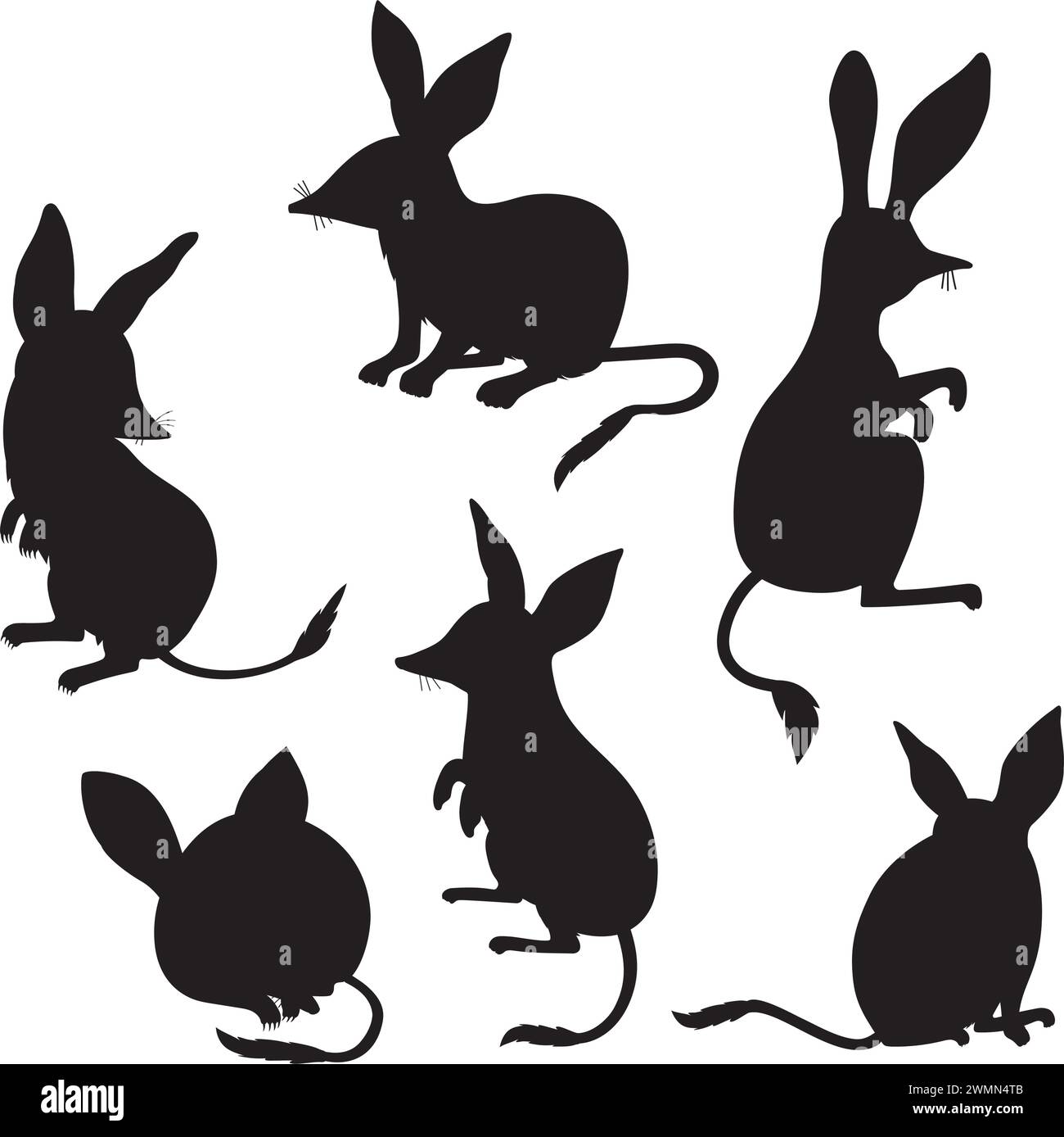 Collection Australian animal bilbies. Isolated black silhouette ...