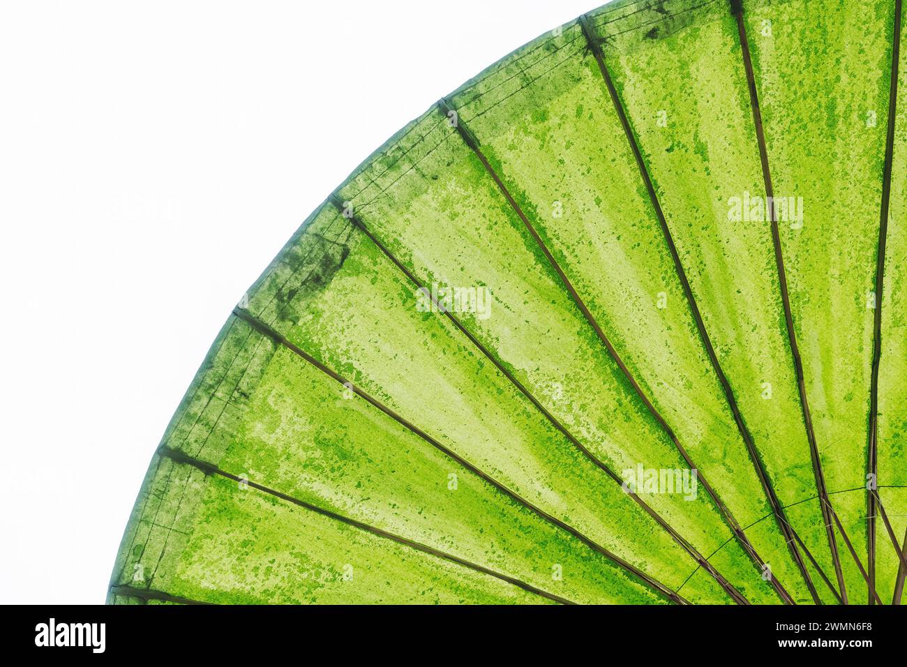 Perspective background and fabric design lines of a colorful parasol ...