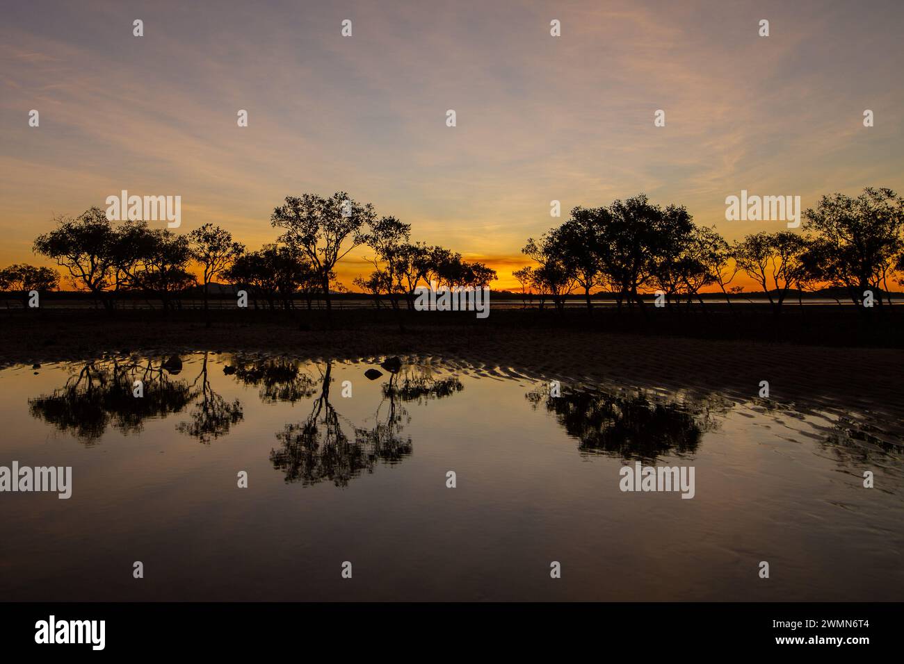 Some mangroves and tree reflection in water at sunset in Mackay ...