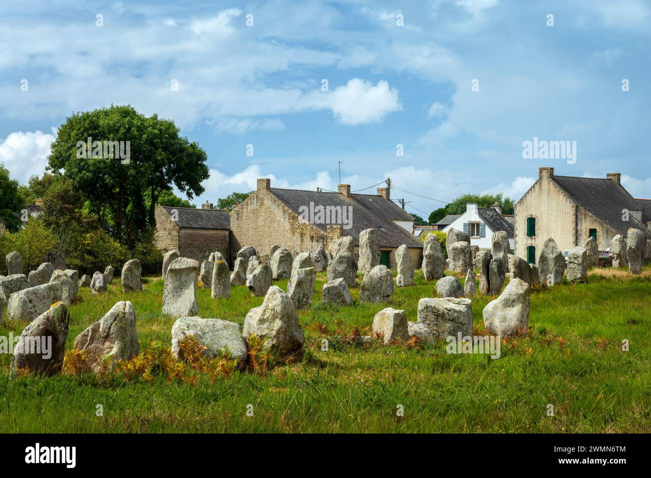 Standing stones (or menhirs) in the Menec alignment in Carnac, Morbihan ...
