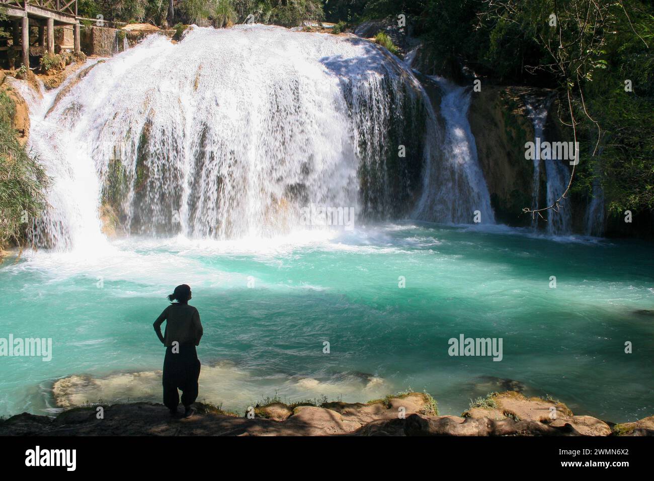 Chiapas forest hi-res stock photography and images - Alamy