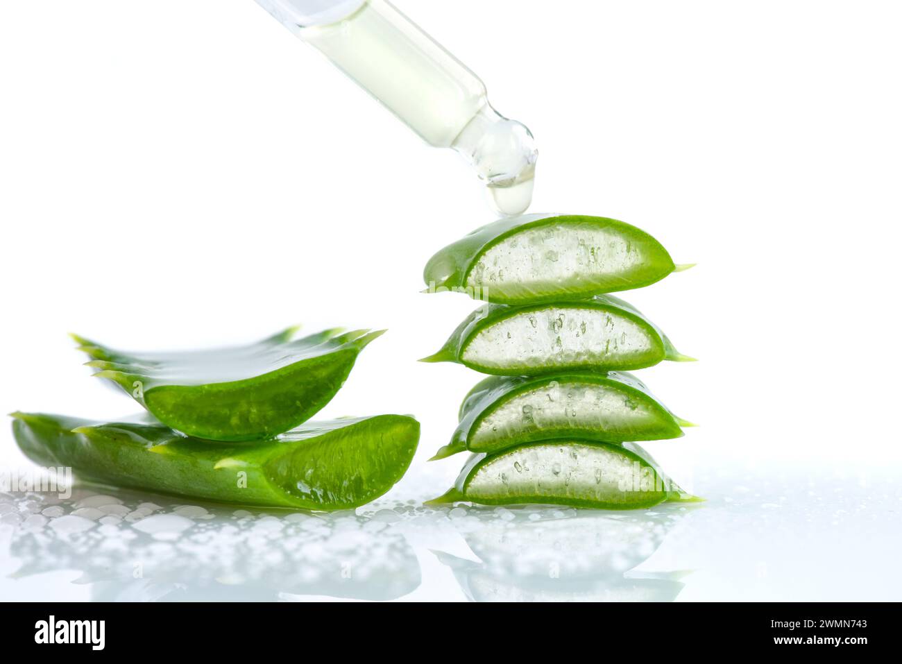 Aloe vera slices on with white background with juice dripping. For ...