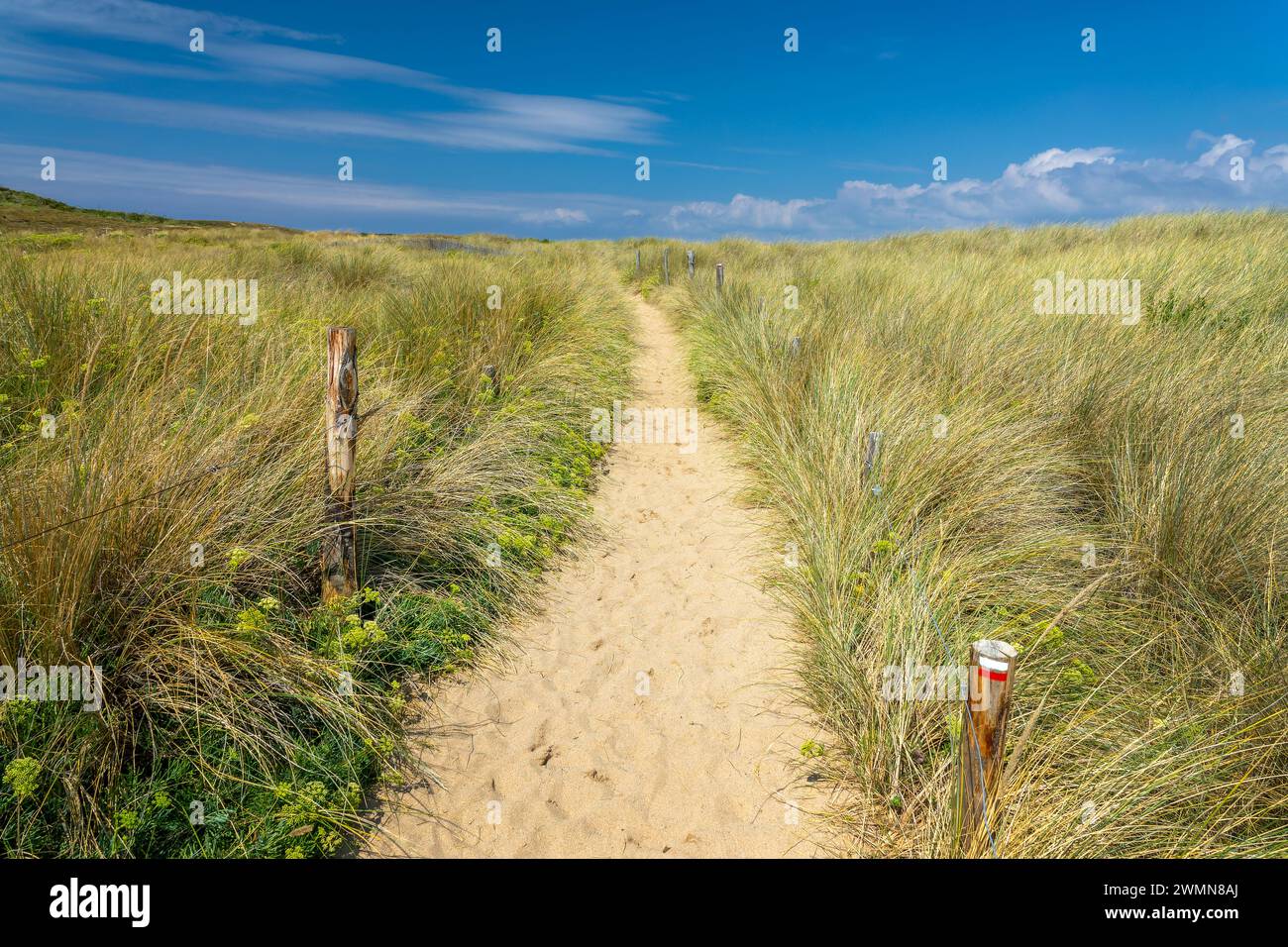 Sandy GR hiking trail on the West coast of Quiberon peninsula, Morbihan ...