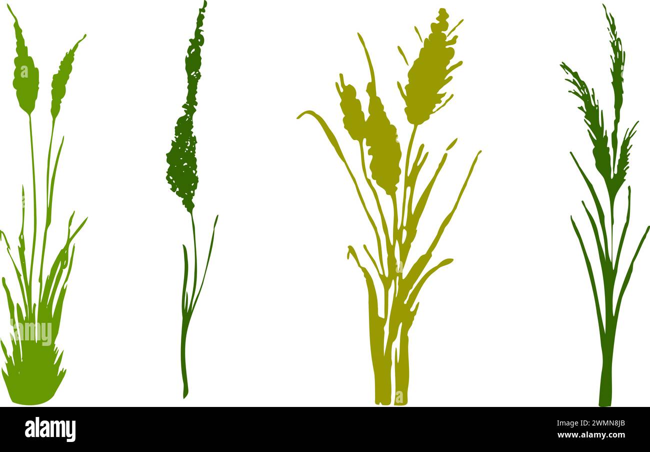 Black grass graphic silhouette.Image of a monochrome reed,grass or ...