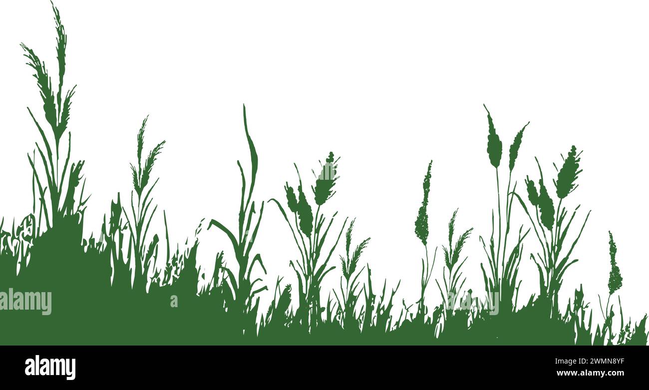 Black and white bull rushes Stock Vector Images - Alamy