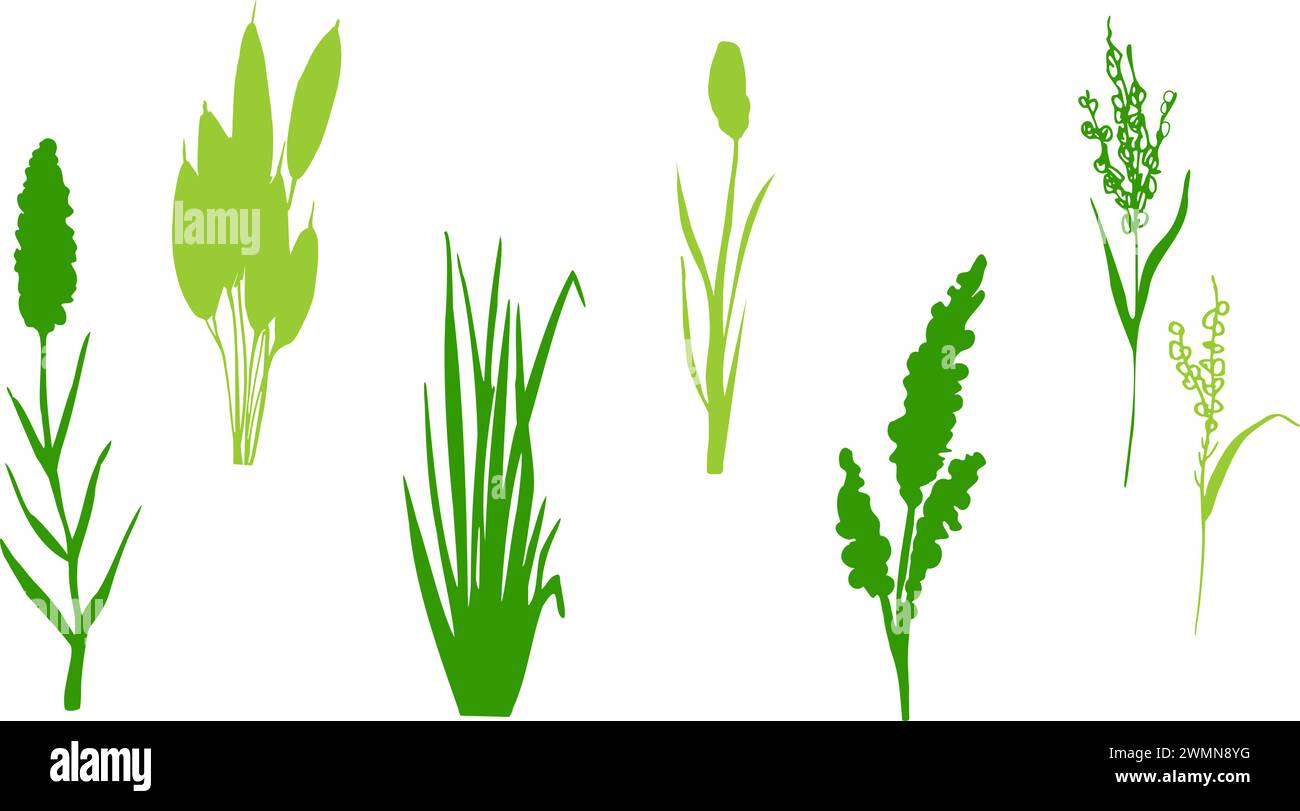 Black grass graphic silhouette.Image of a monochrome reed,grass or ...