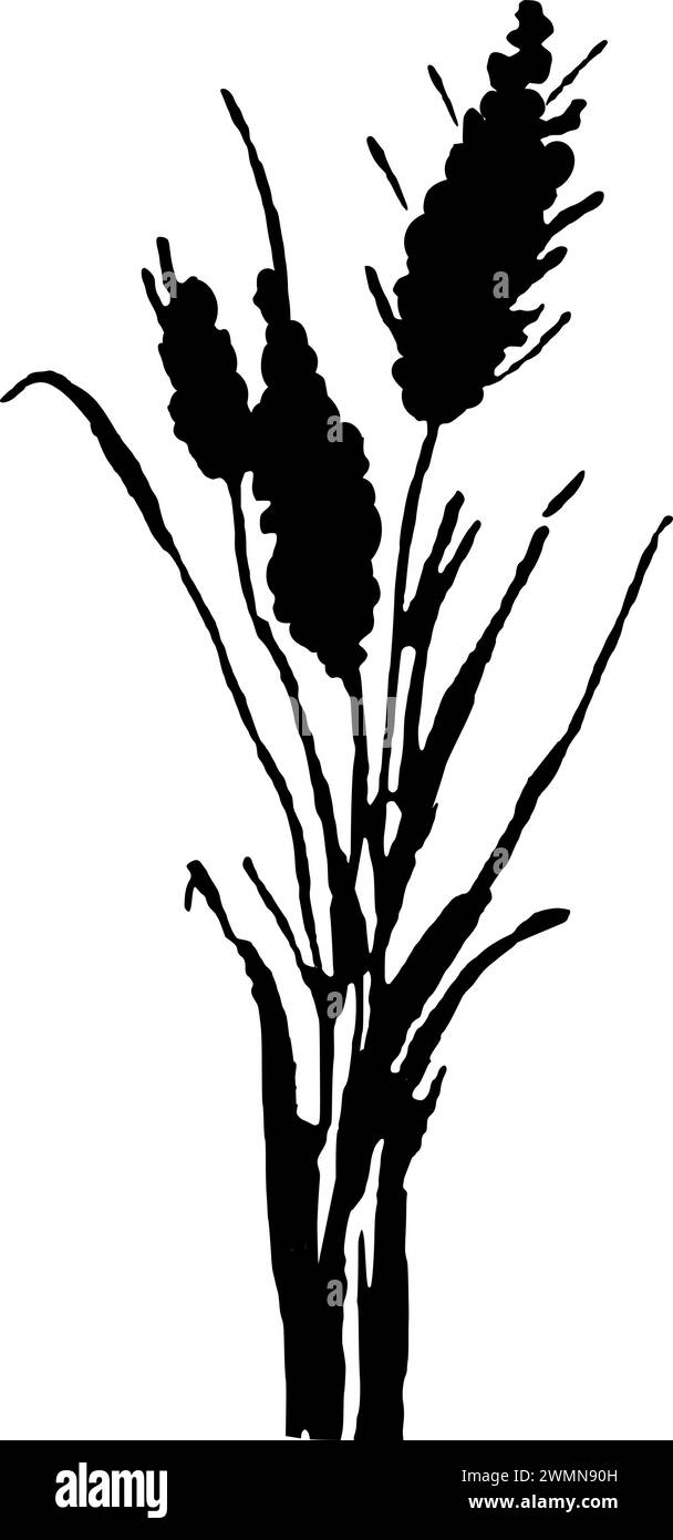 Black grass graphic silhouette.Image of a monochrome reed,grass or ...