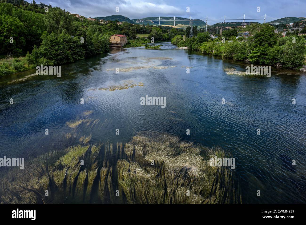Millau Viaduct, cable-stayed bridge spanning the Tarn valley, Aveyron ...
