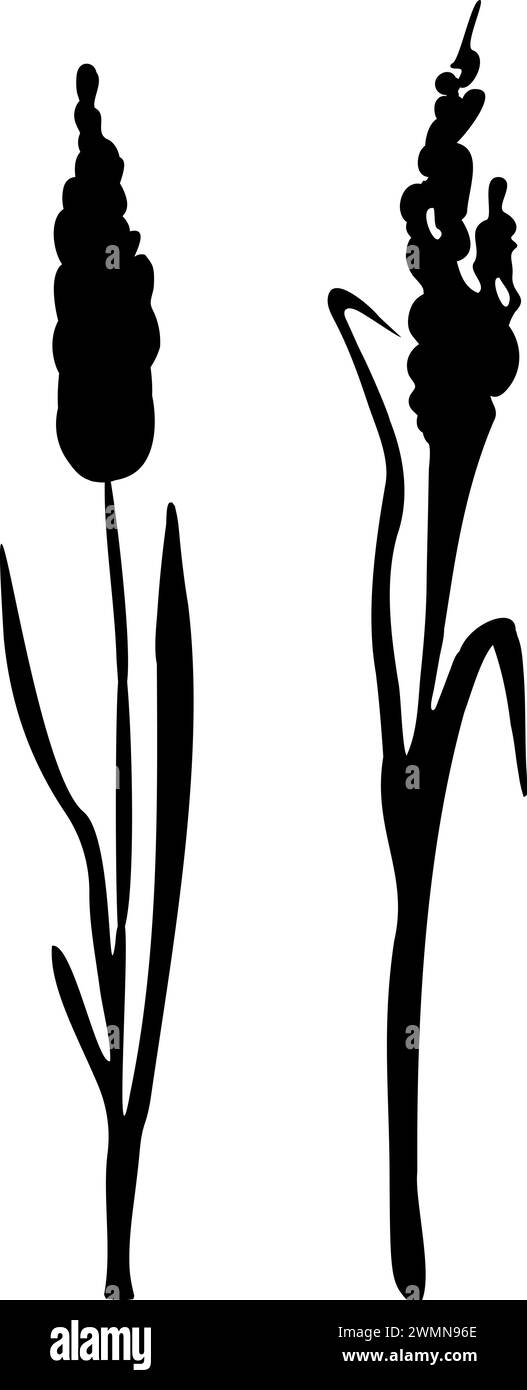 Black grass graphic silhouette.Image of a monochrome reed,grass or ...