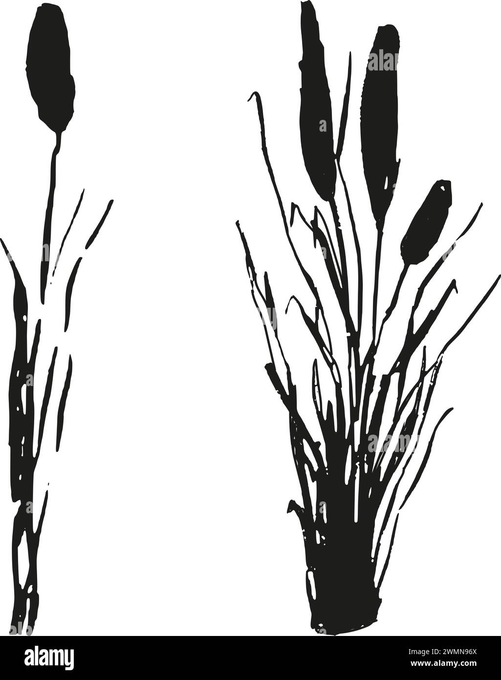 Black grass graphic silhouette.Image of a monochrome reed,grass or ...