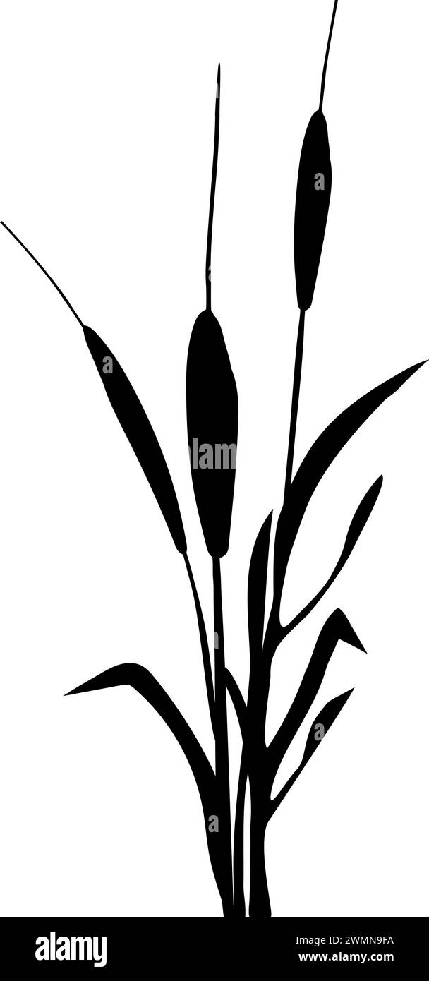 Black grass graphic silhouette.Image of a monochrome reed,grass or ...