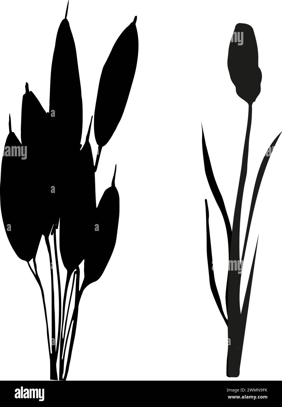 Black grass graphic silhouette.Image of a monochrome reed,grass or ...