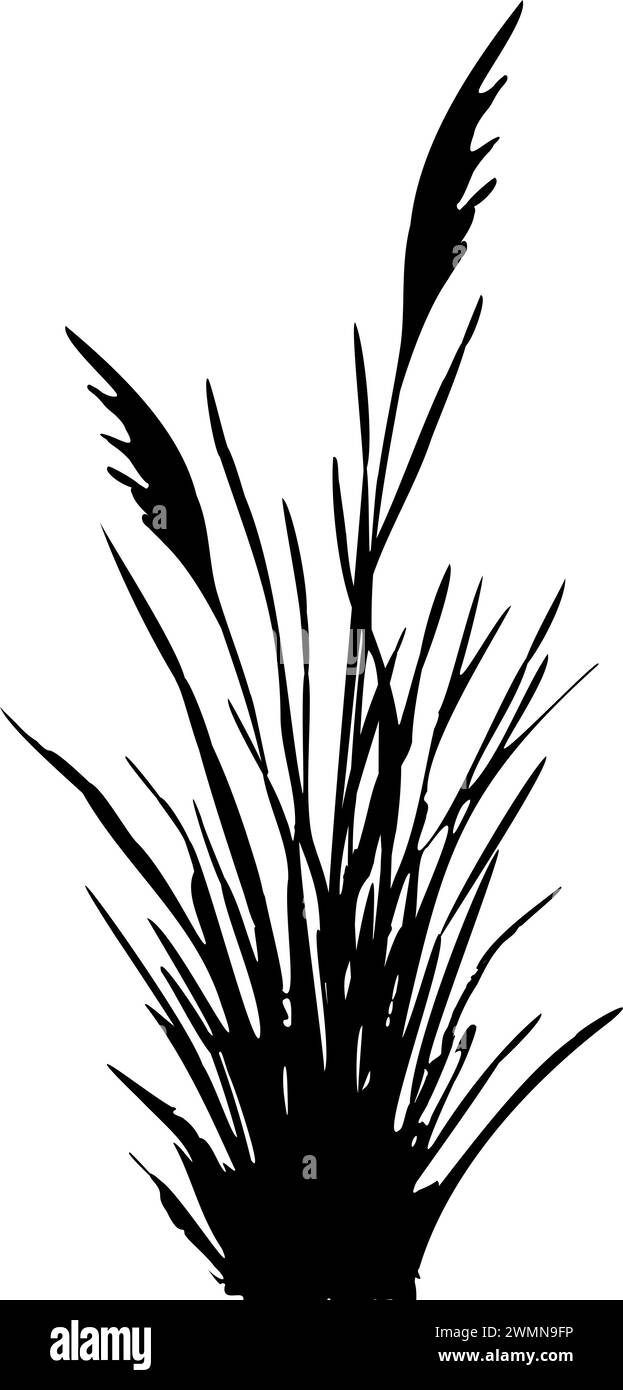 Black Grass Graphic Silhouetteimage Of A Monochrome Reedgrass Or Bulrush On A White Background