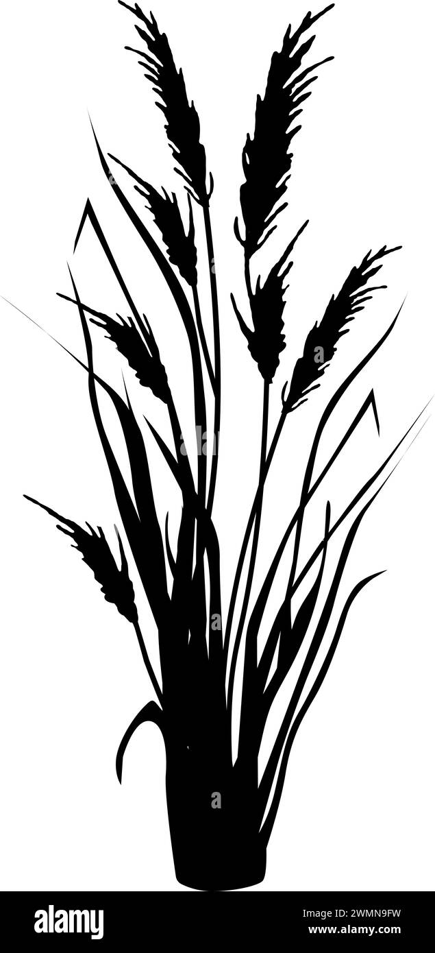 Black grass graphic silhouette.Image of a monochrome reed,grass or ...