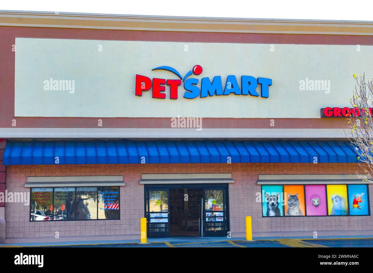 Pet shop logo design hi-res stock photography and images - Alamy