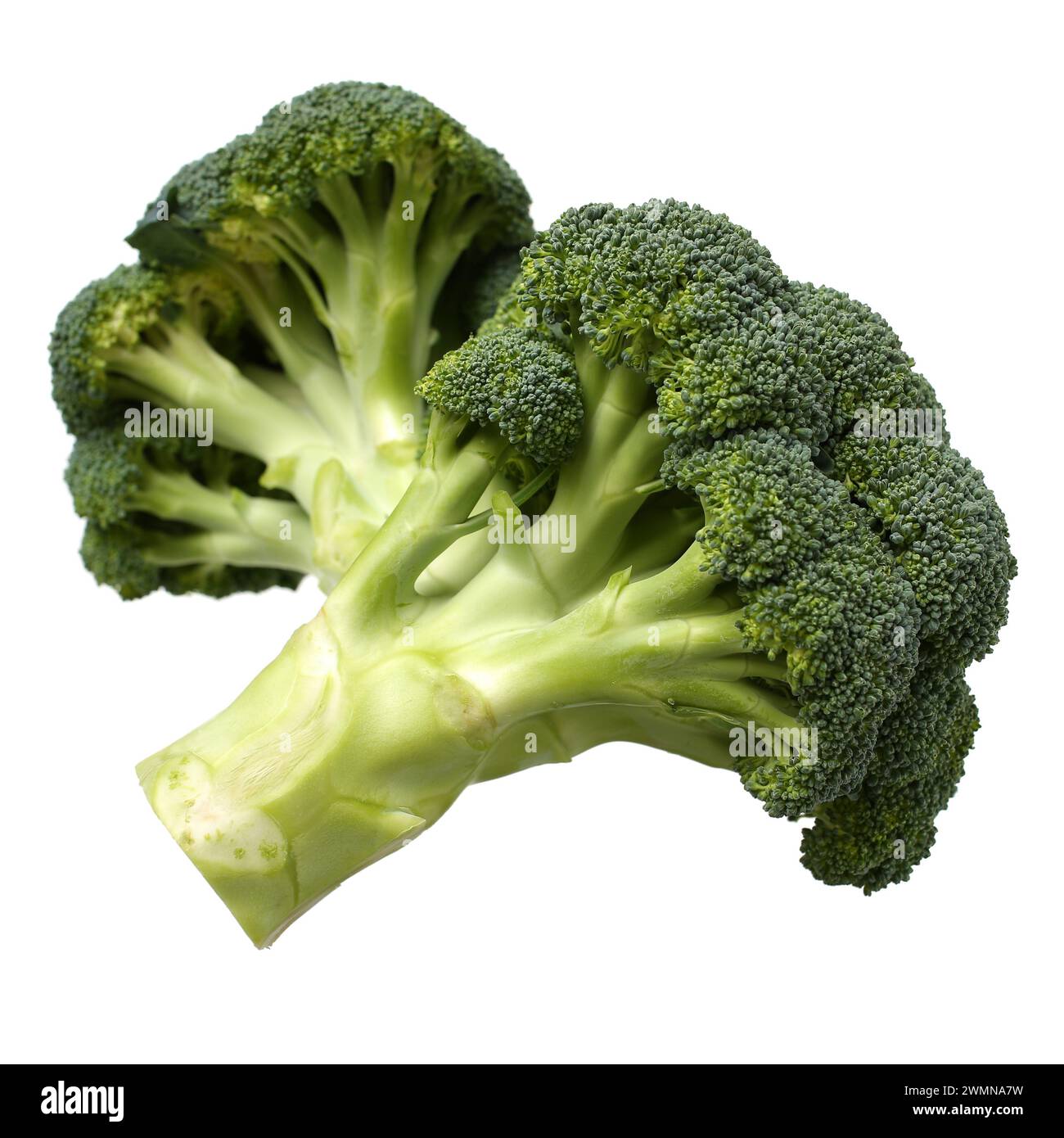 Broccoli vegetable on white background Stock Photo - Alamy