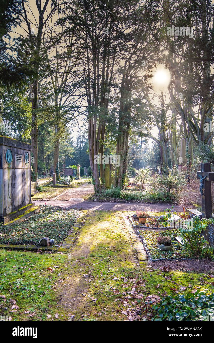A scenic view of an old empty cemetery covered with greenery Stock ...