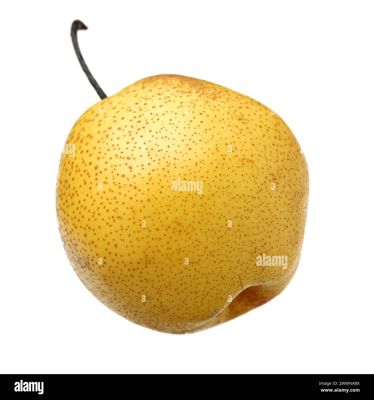 Chinese pear on white background Stock Photo - Alamy