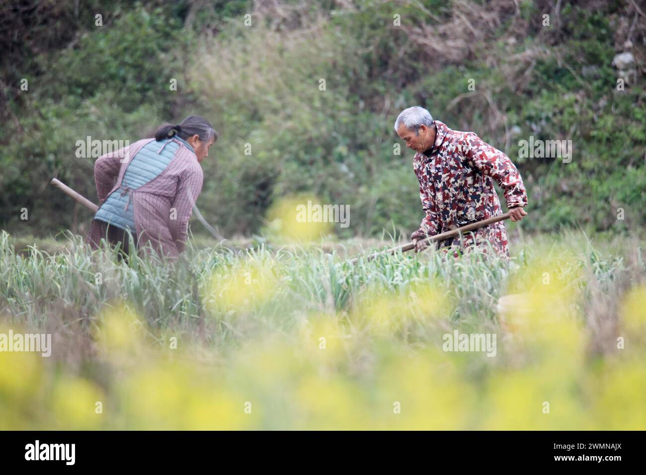 Quantou village hi-res stock photography and images - Alamy