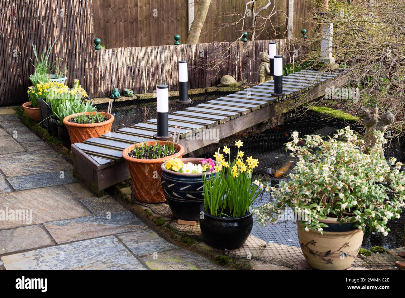 Pond side containers hi-res stock photography and images - Alamy Pond side containers hi-res stock photography and images - Alamy