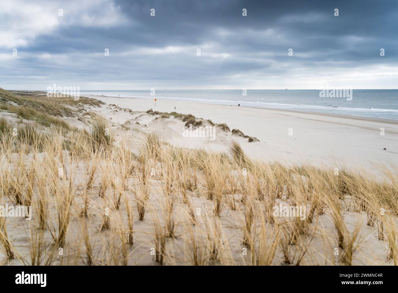 Beach landscape, Sand and sea under white grey cloudy clouds in sky ...