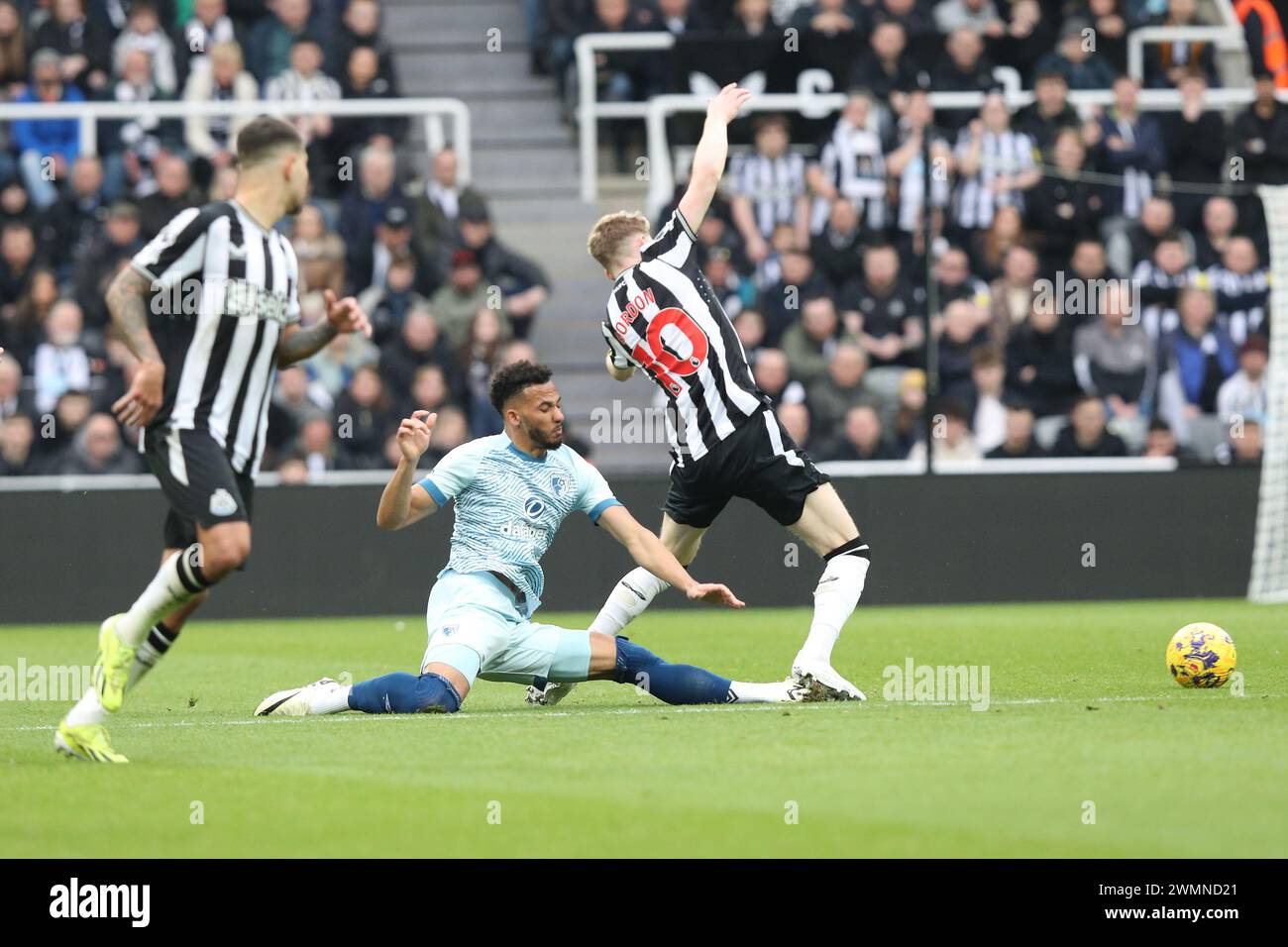 Lloyd kelly bournemouth 2024 hi-res stock photography and images - Alamy