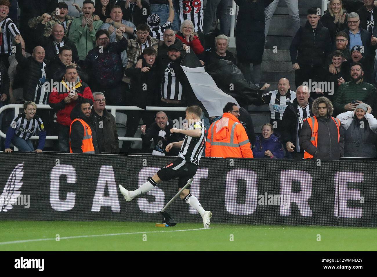 Matt Ritchie of Newcastle Celebrates scoring 2-2 - Newcastle United v ...