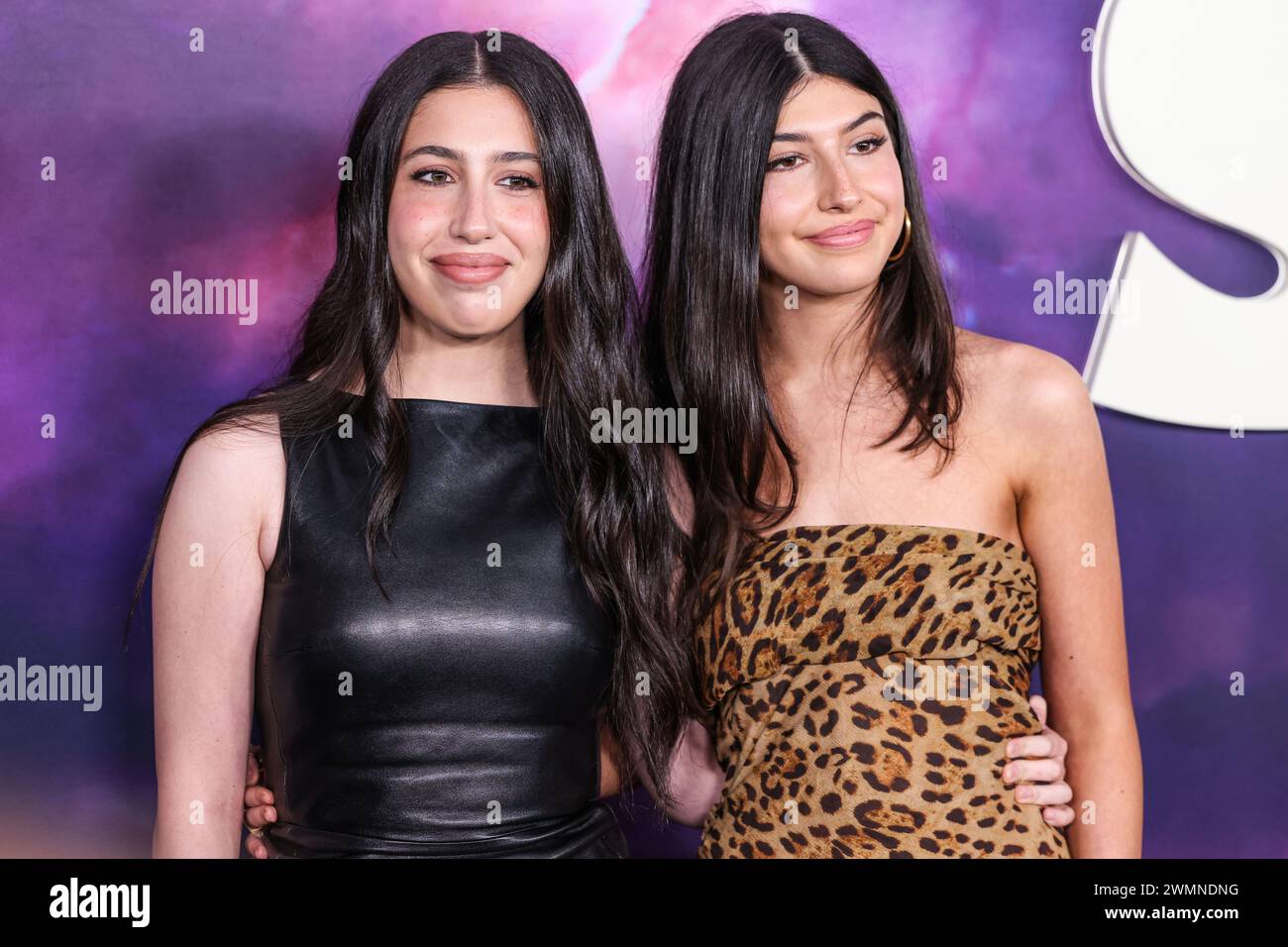 Hollywood, United States. 26th Feb, 2024. HOLLYWOOD, LOS ANGELES ...