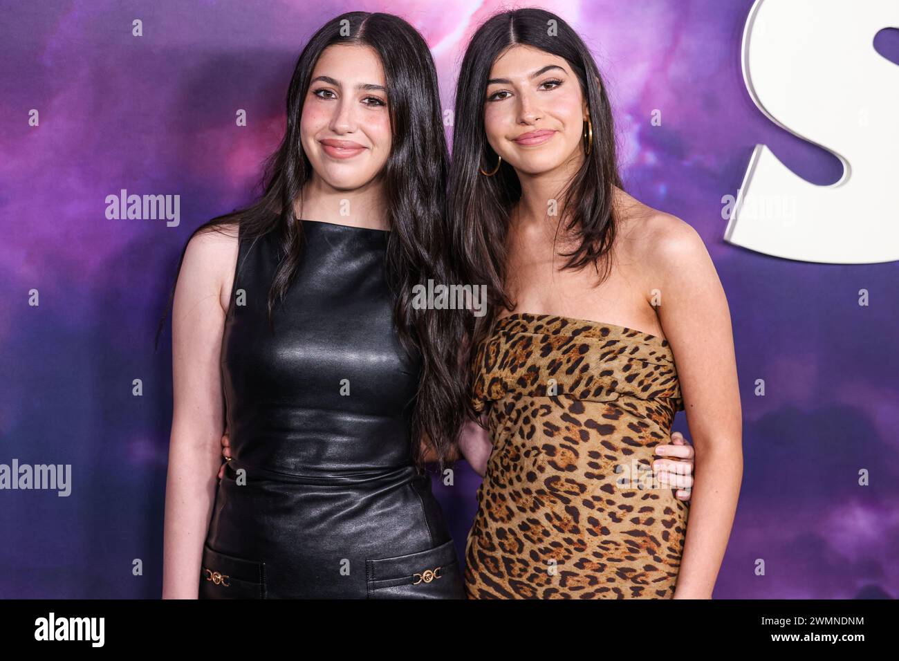 Hollywood, United States. 26th Feb, 2024. HOLLYWOOD, LOS ANGELES ...