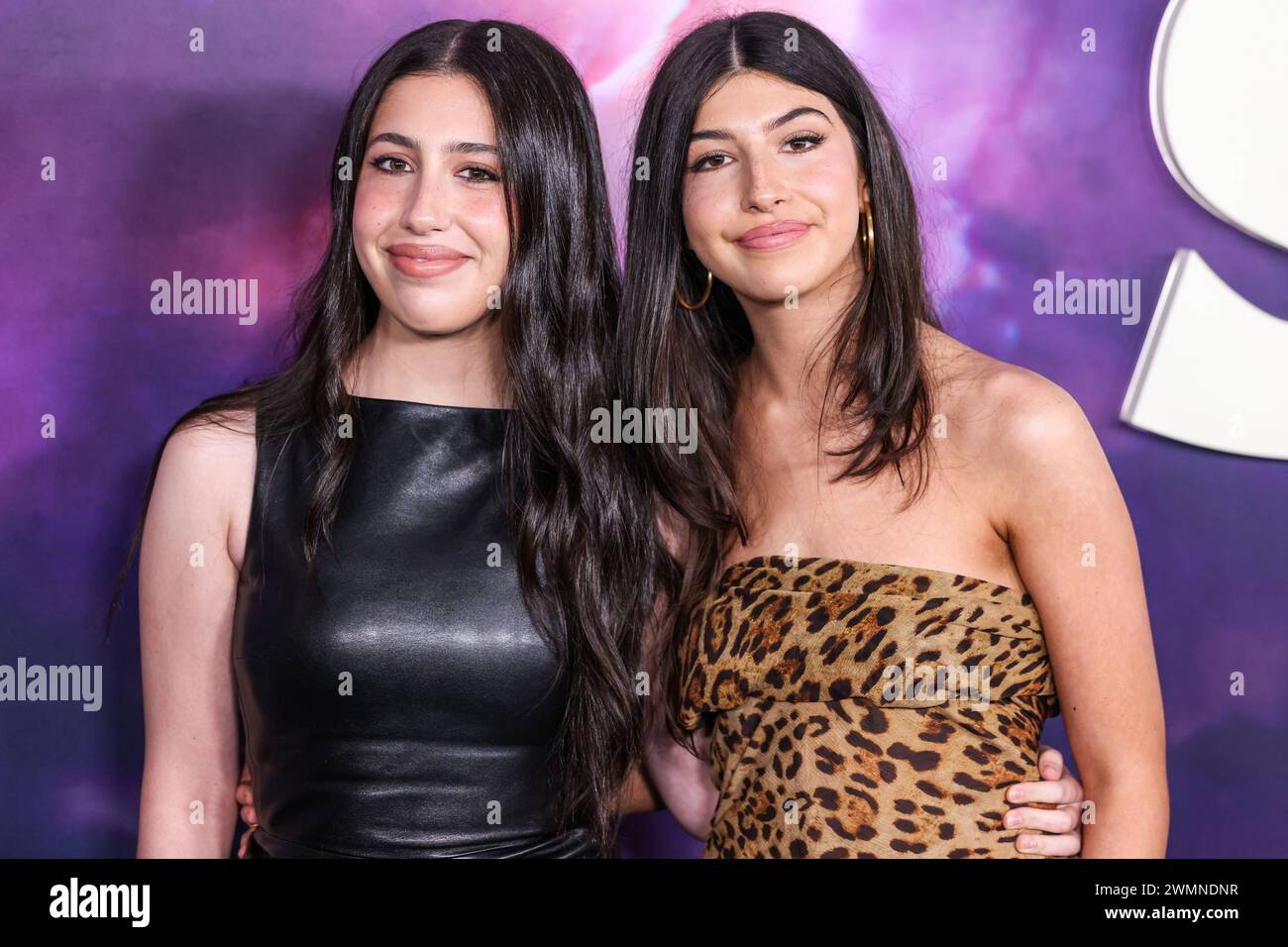 Hollywood, United States. 26th Feb, 2024. HOLLYWOOD, LOS ANGELES ...