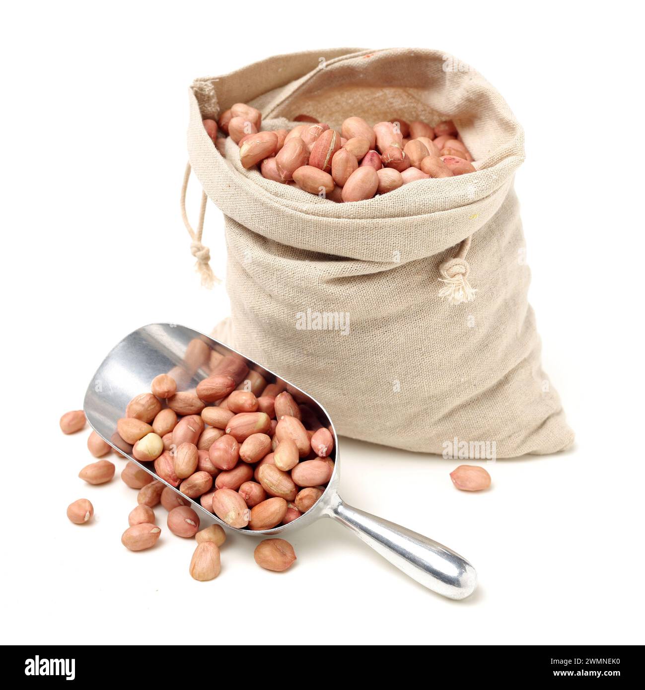Peanut kernel isolated on white background Stock Photo - Alamy