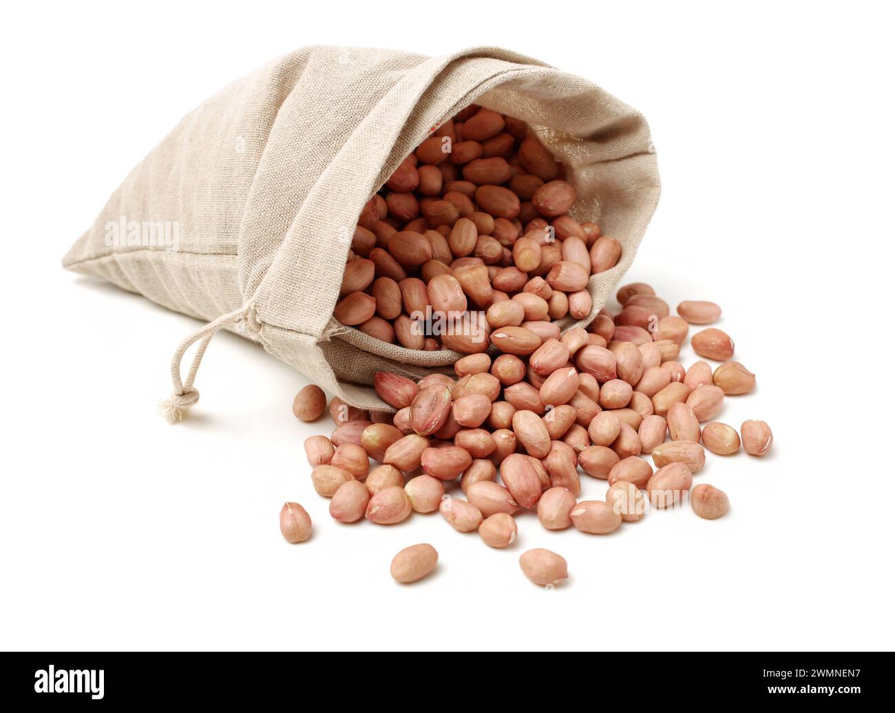 Peanut kernel isolated on white background Stock Photo - Alamy