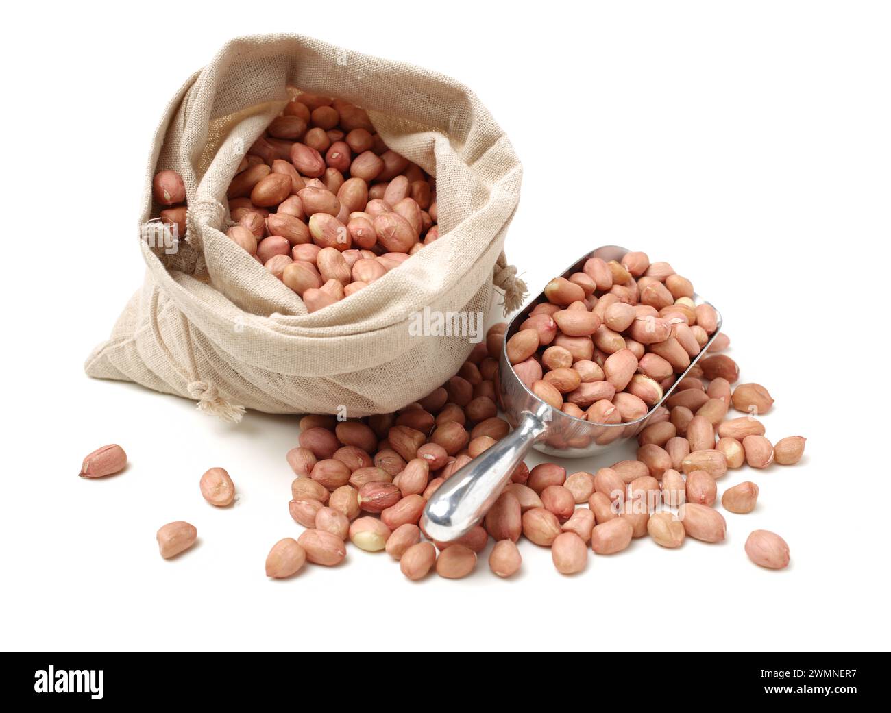 Peanut kernel isolated on white background Stock Photo - Alamy