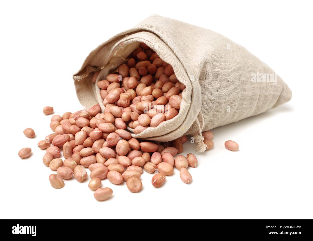 Peanut kernel isolated on white background Stock Photo - Alamy