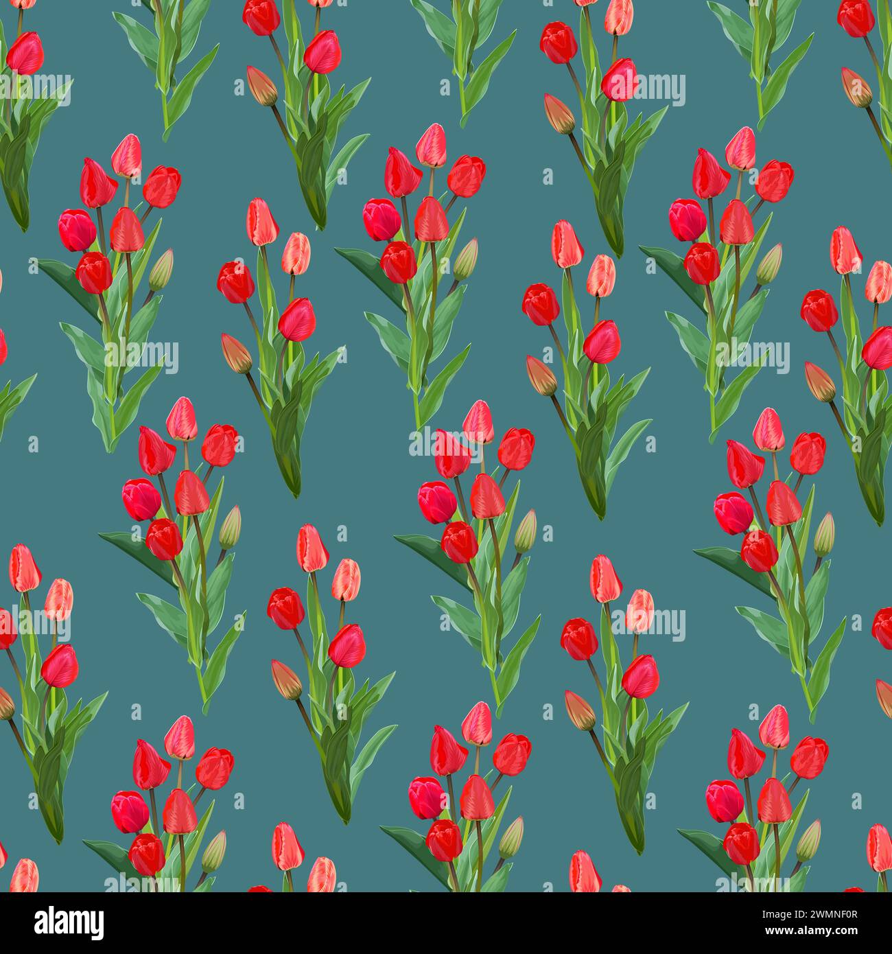 Seamless pattern with bouquets of red tulips on a blue background Stock ...