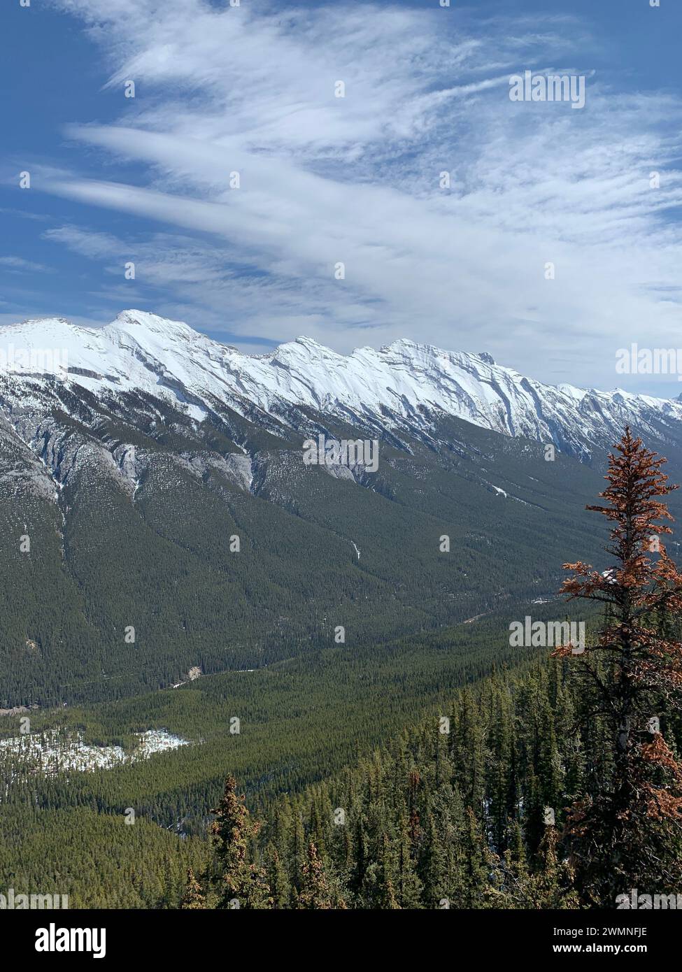 Forested region hi-res stock photography and images - Alamy