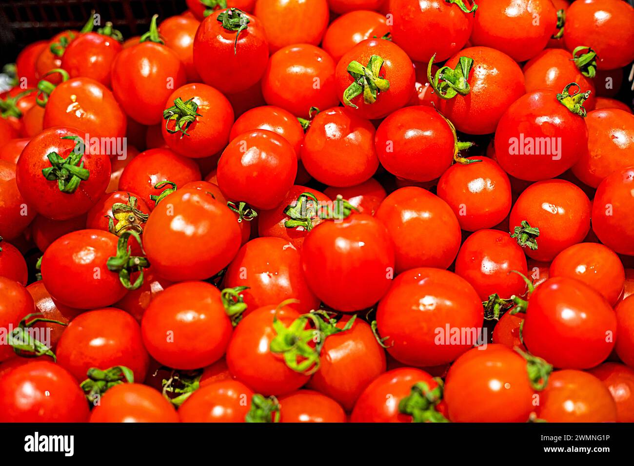 red sweet sour tomatoes grown by farmers Stock Photo - Alamy