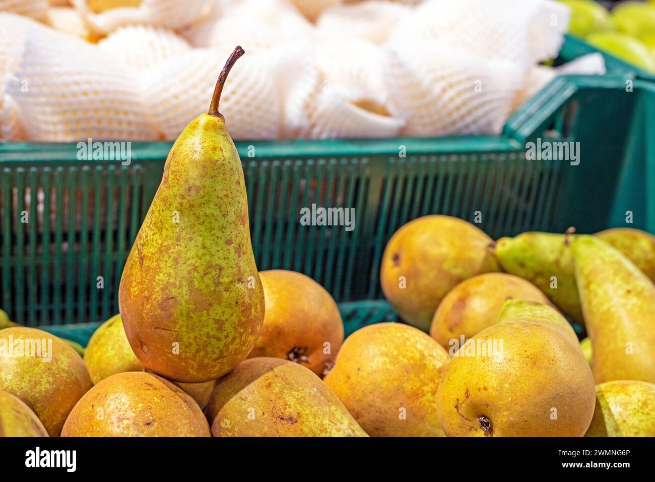 ripe large pears lie in a container in a supermarket Stock Photo - Alamy