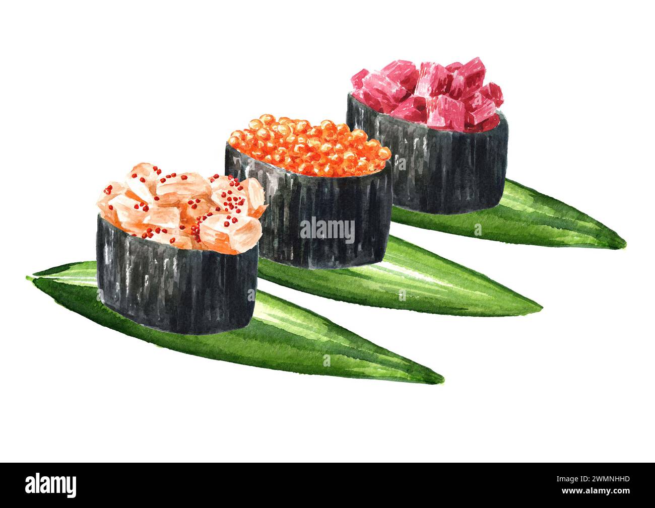 Gunkan Maki Sushi Set with various types of filling. Hand drawn ...