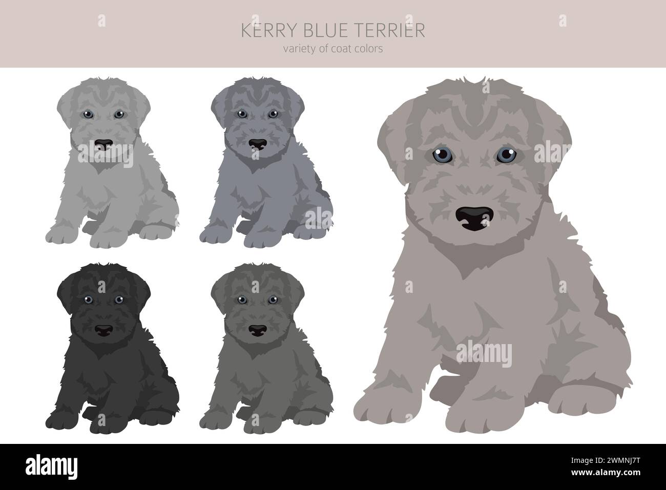 Kerry vector vectors hi-res stock photography and images - Alamy