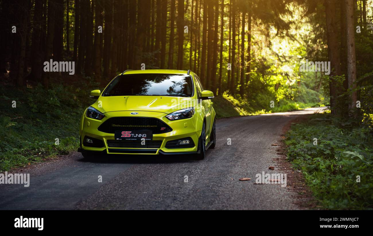 lime green Ford Focus ST driving through the pine forest Stock Photo ...