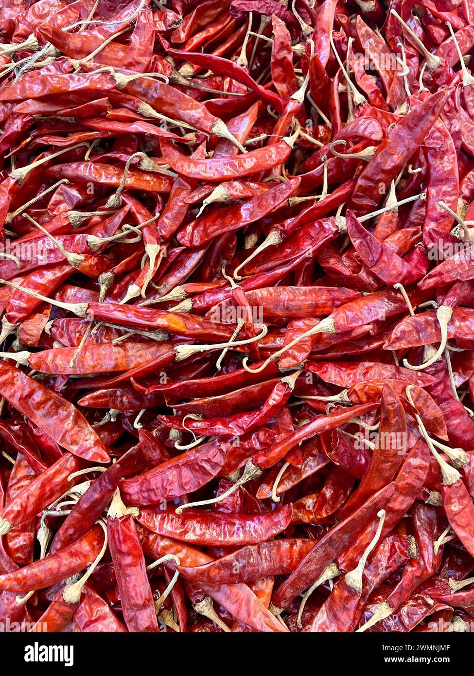 dried red chilli.this photo was taken from Chittagong,Bangladesh Stock ...