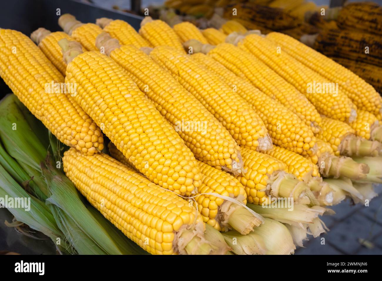 Freshly steamed corn on the cob served on a street shop display ...