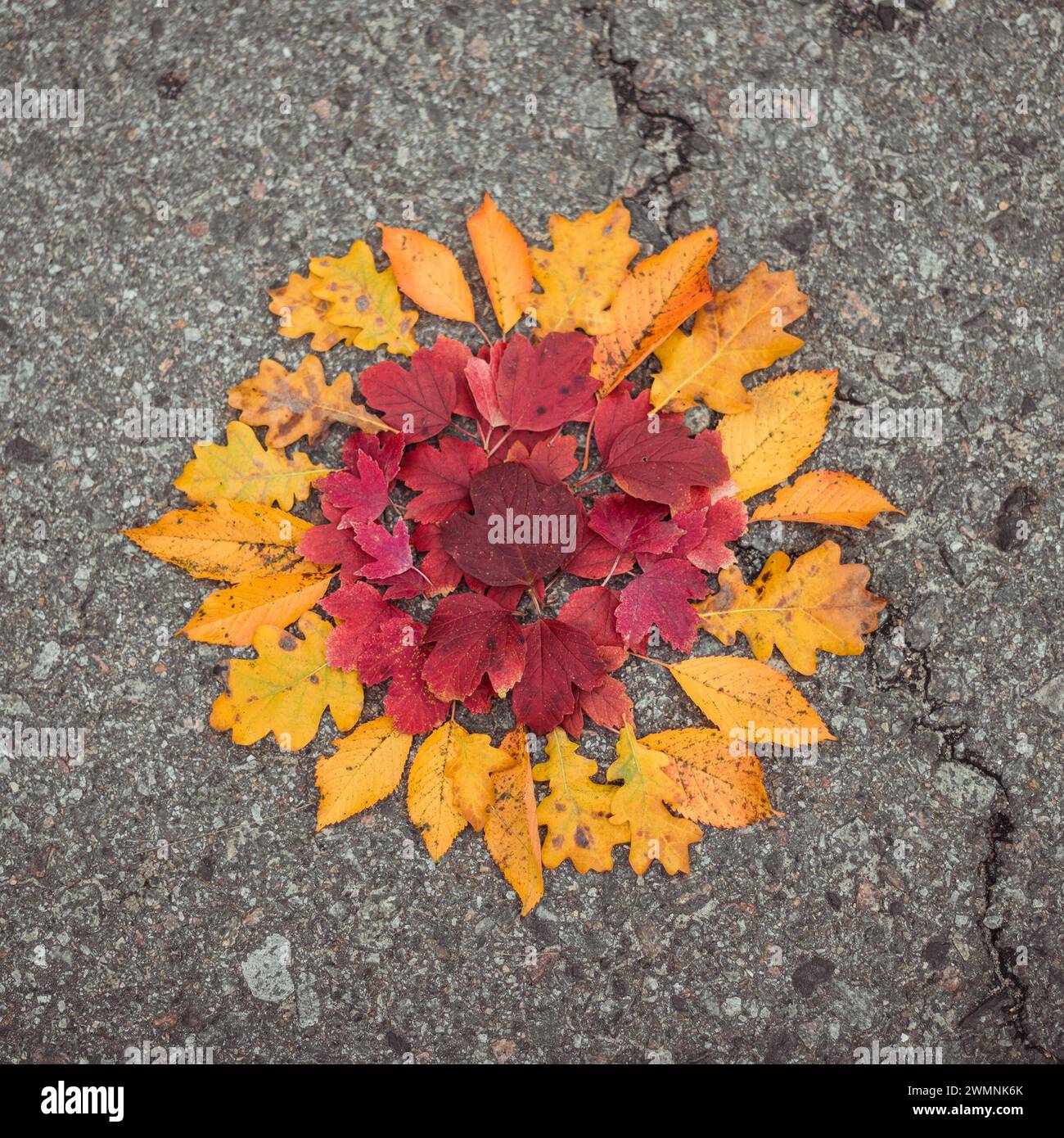 Asphalt patterns hi-res stock photography and images - Alamy