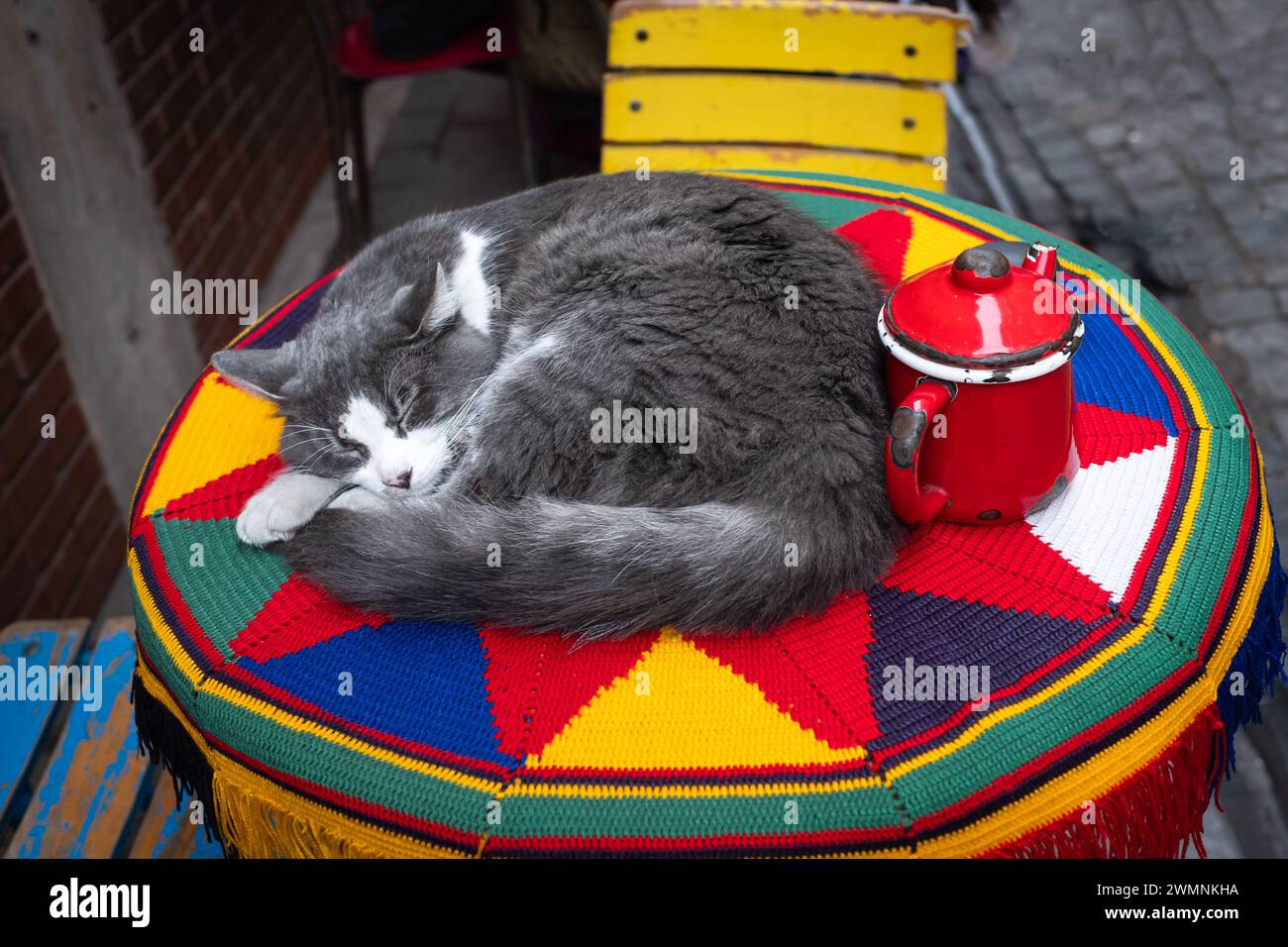 The cute cat sleeping on the colorful table on terrace of restaurant in ...