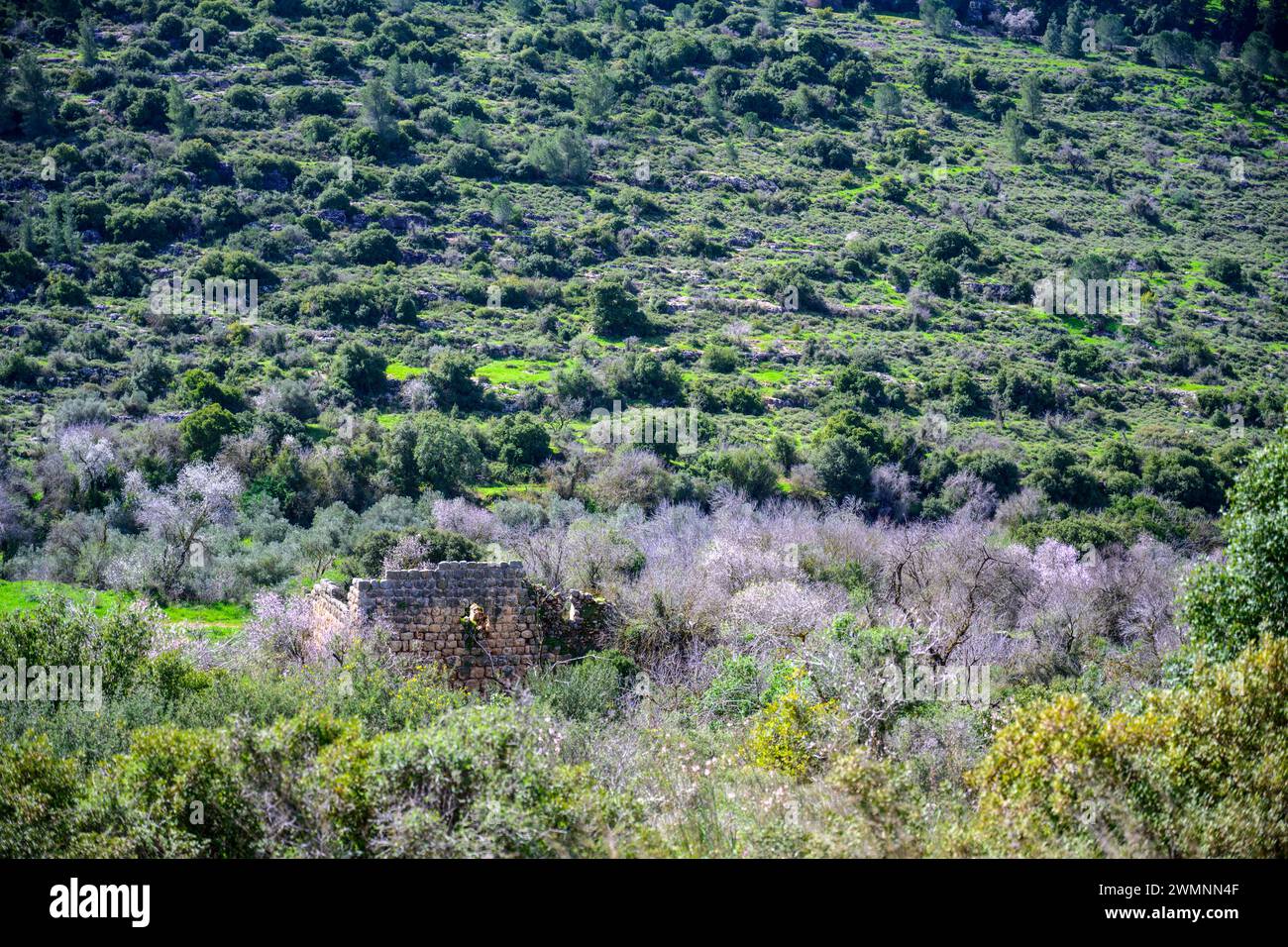 Khirbat Hanut - Ruins of the Khan. Remains of a 14th century roadside ...