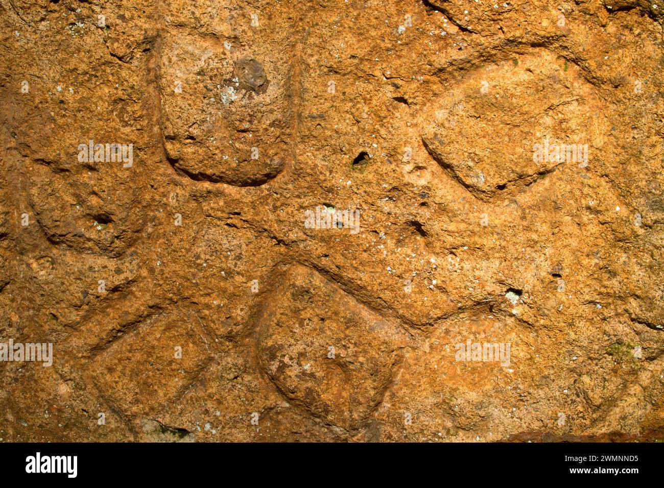 Petroglyphs at Cascadia Cave, Linn County, Oregon Stock Photo - Alamy