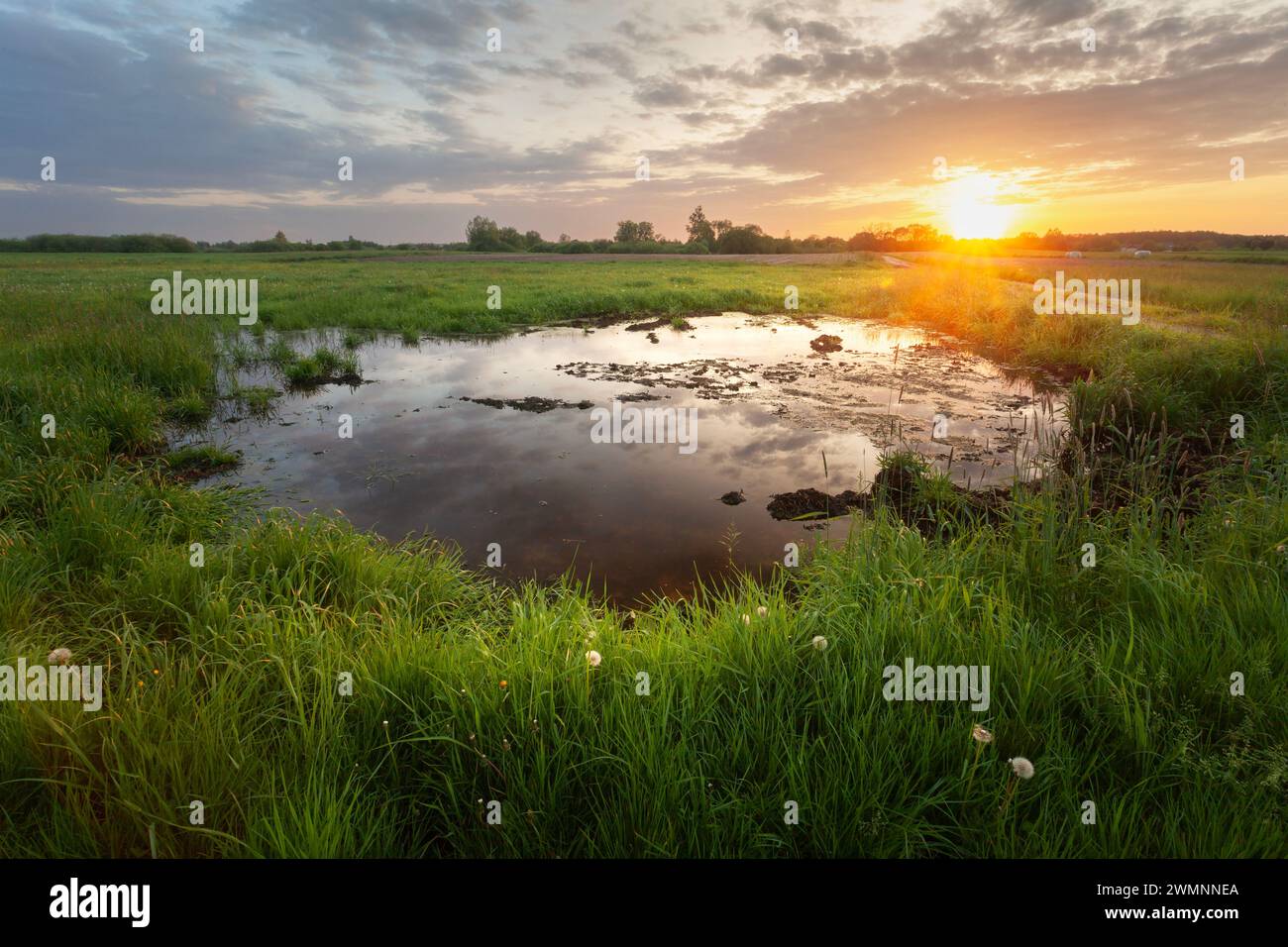 Sunset pond water landscape hi-res stock photography and images - Alamy