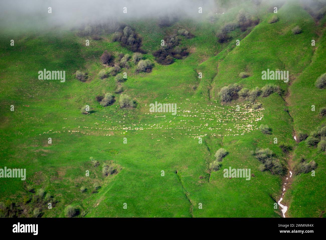 Georgia scenic view hi-res stock photography and images - Alamy