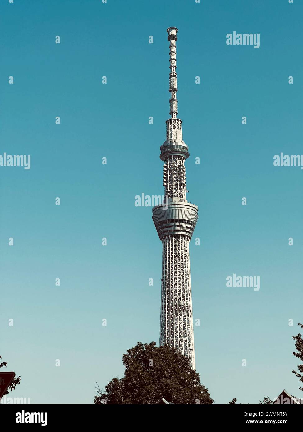 The Tokyo Skytree, a broadcasting and observation tower in Sumida ...